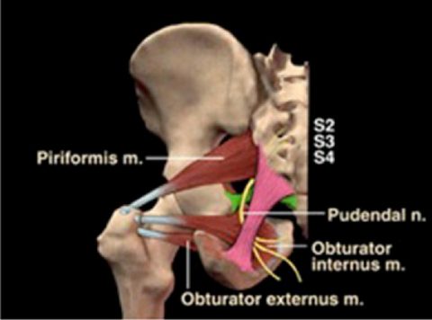 Successful Treatment For Pudendal Neuralgia At CiONE Wellness
