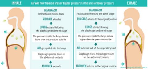 Shallow Breathing & How To Improve Your Breathing - CiONE